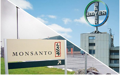Adquisición telúrica de Monsanto por Bayer. El ocaso de los campesinos ...